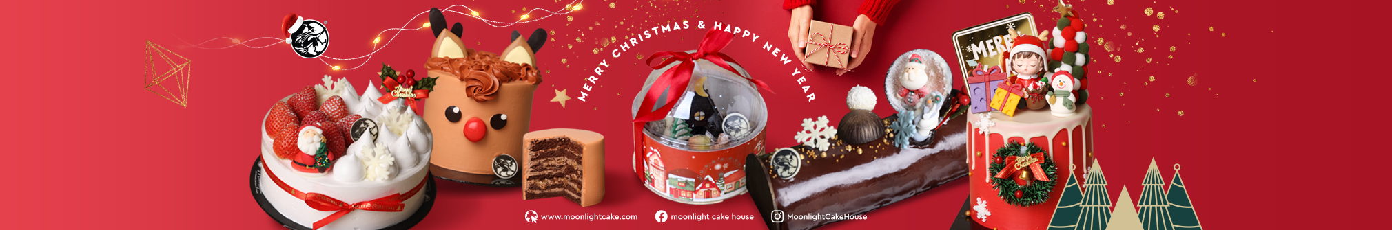 Moonlight Cake House|Your Favourite Cake House In Town